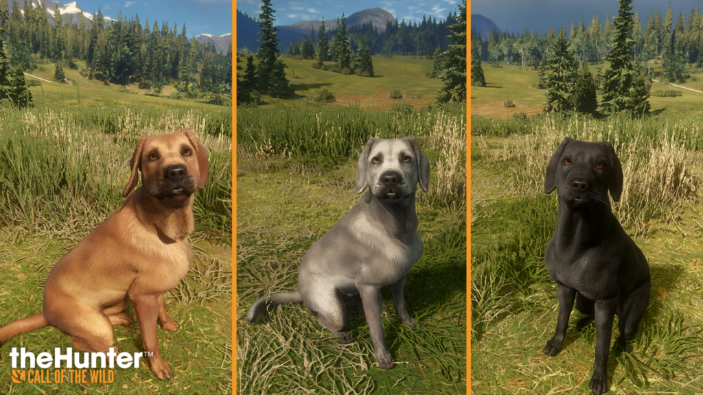 Dev Diary: Welcoming the Labrador Retriever | theHunter: Call of the Wild