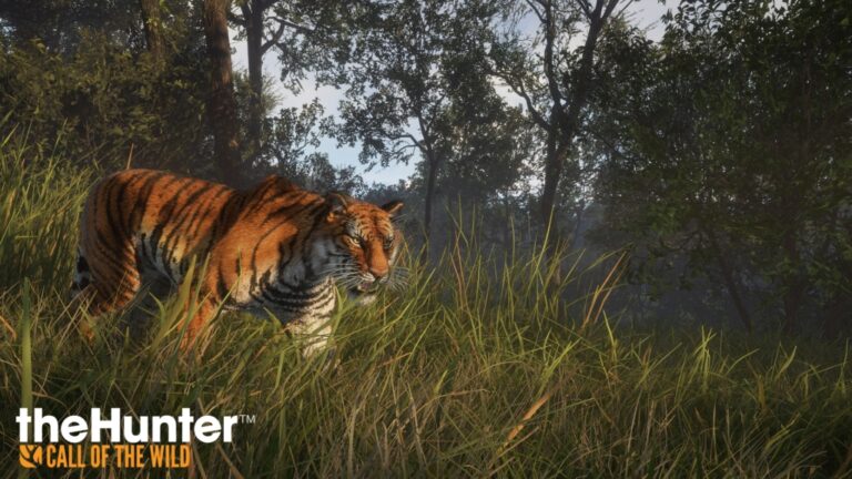 Sundarpatan Nepal Hunting Reserve - Coming June 18 - theHunter: Call of ...