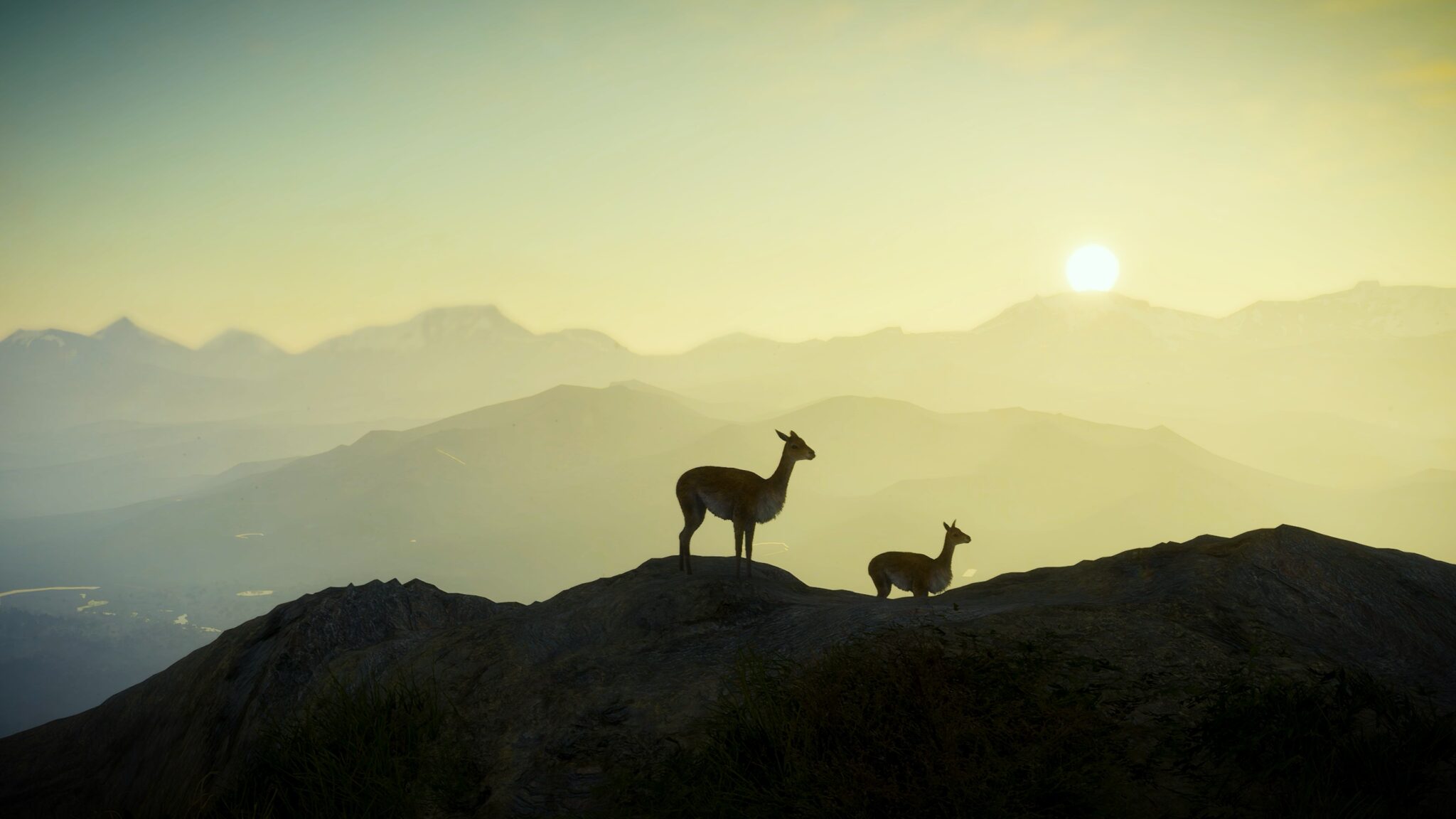 Peru Hunting Reserve arrives June 16th - theHunter: Call of the Wild